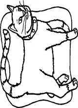 382 Animal coloring pages - Coloring.me