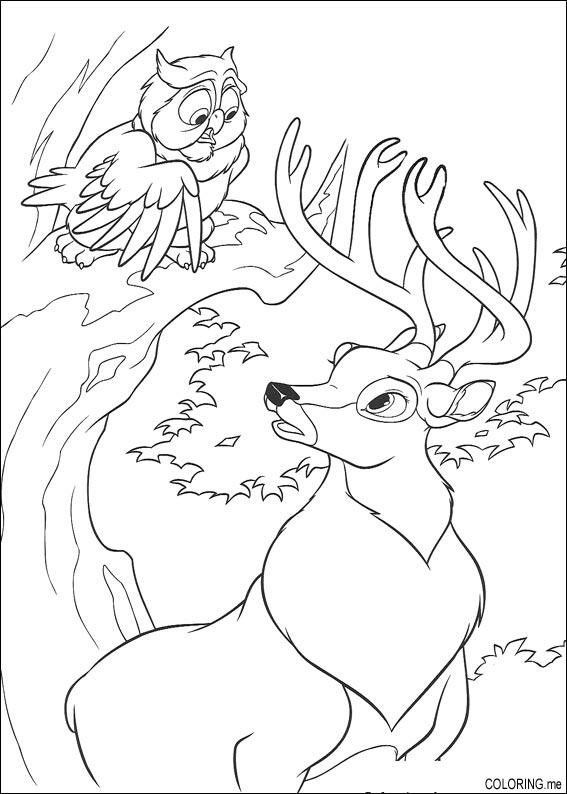 Printable Bambi Coloring Pages Bambi Coloring Pages Owl Coloring Images And Photos Finder